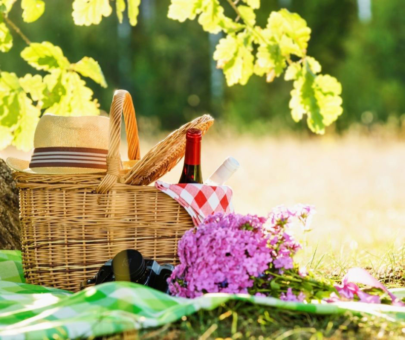 Volunteer Picnic – Liberty Grove Historical Society | Door County ...